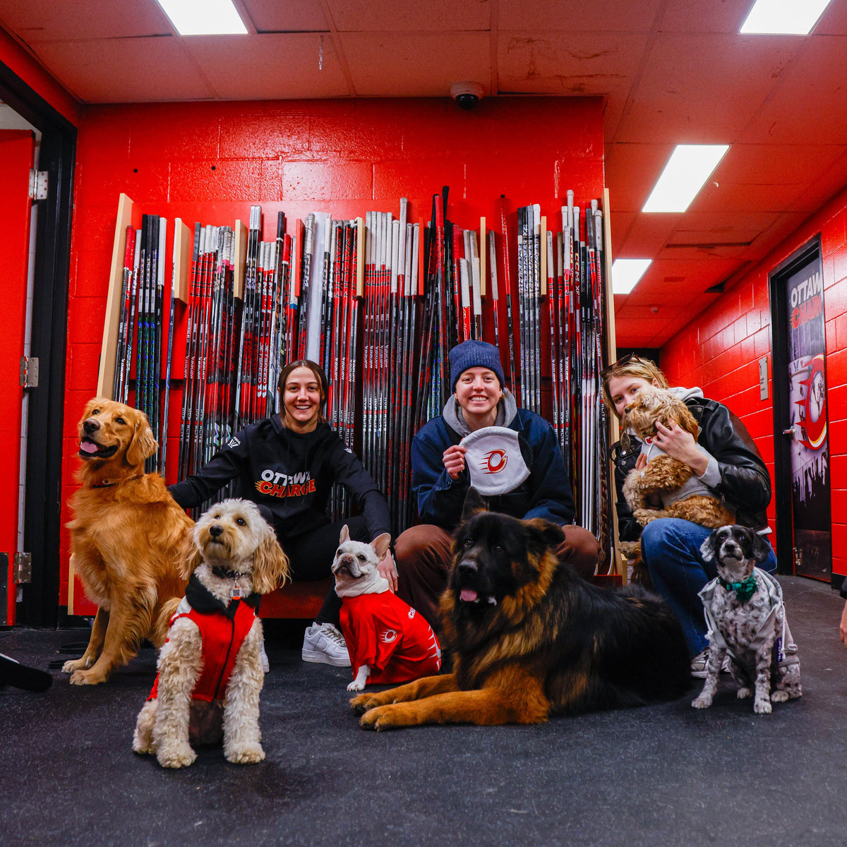 Ottawa Charge Pet Parka Puff Vest – The Official Canada Shop of the PWHL